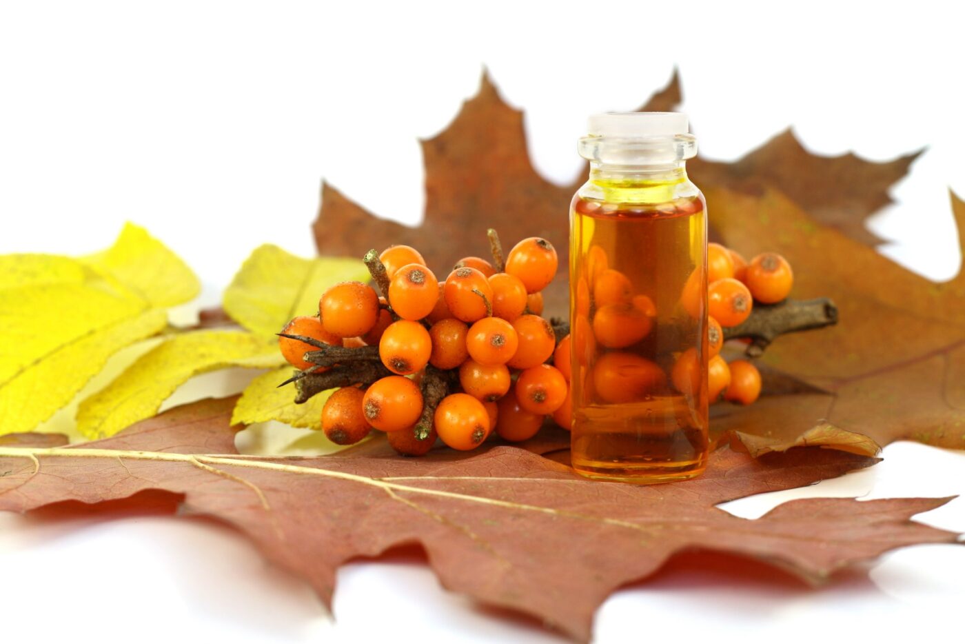 Sea buckthorn for all kinds of dryness - Tanith Lee - Mrs Menopause
